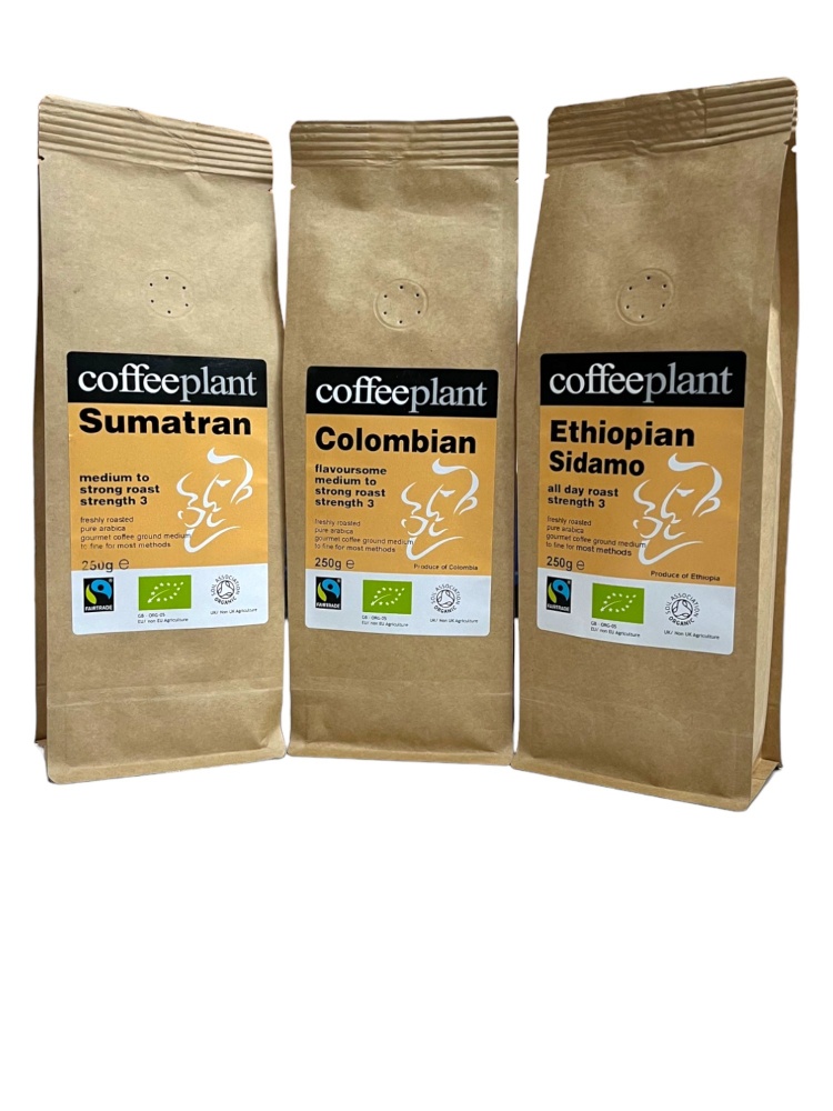 Medium-Strong Roasts